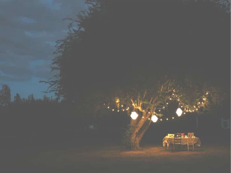 Gallery – Serenity Ranch Orlando