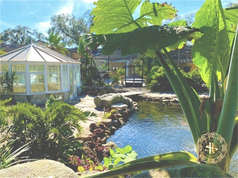 Gallery – Serenity Ranch Orlando